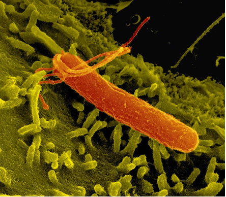 Bệnh viện Đại Học Y Dược